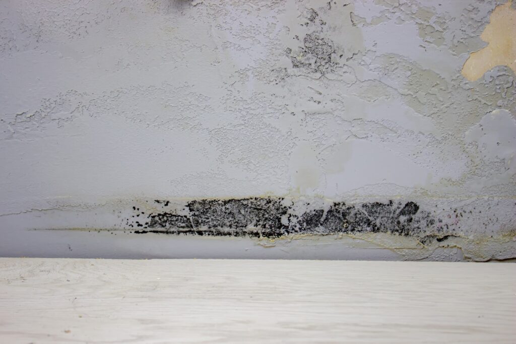 Les étapes clés pour assécher un mur efficacement